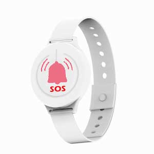 Safety Alarm System - For Gated Communities, Logic Research Labs